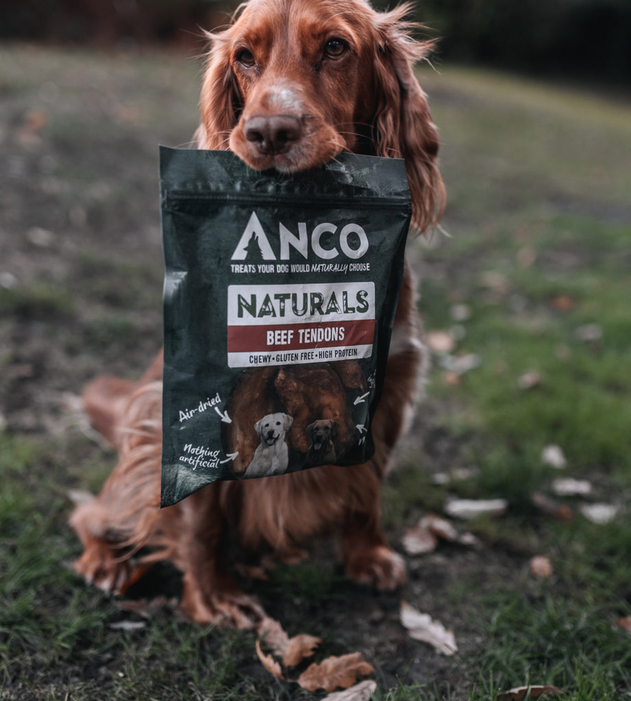 Anco Beef Tendon Dog Chew – Happy Tails