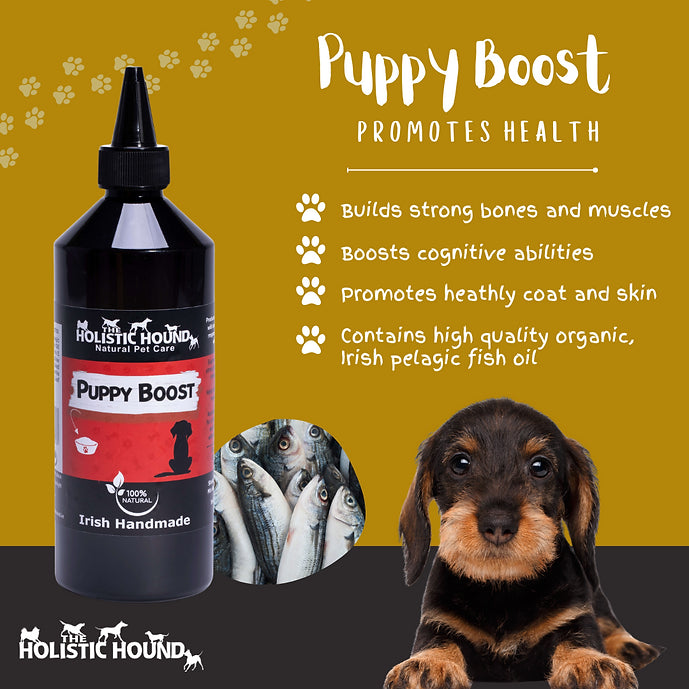 Holistic Hound Puppy Boost Dog Supplement – Happy Tails