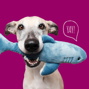 Fluff & Tuff Tank Shark Plush Dog Toy