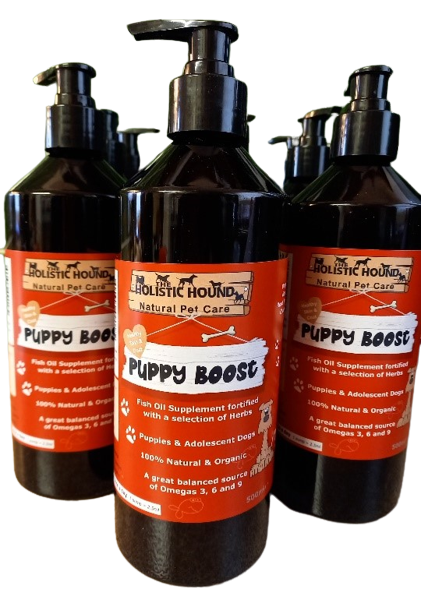 Holistic Hound Puppy Boost Supplement – Happy Tails